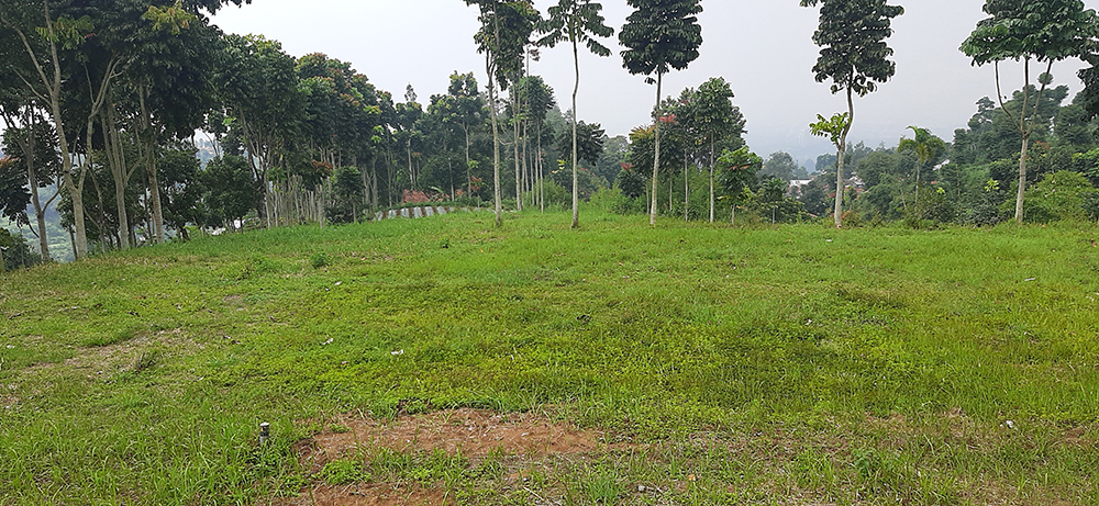 TANAH MATANG MAIN ROAD DAGO GIRI BANDUNG | Situs Jual Beli Properti ...